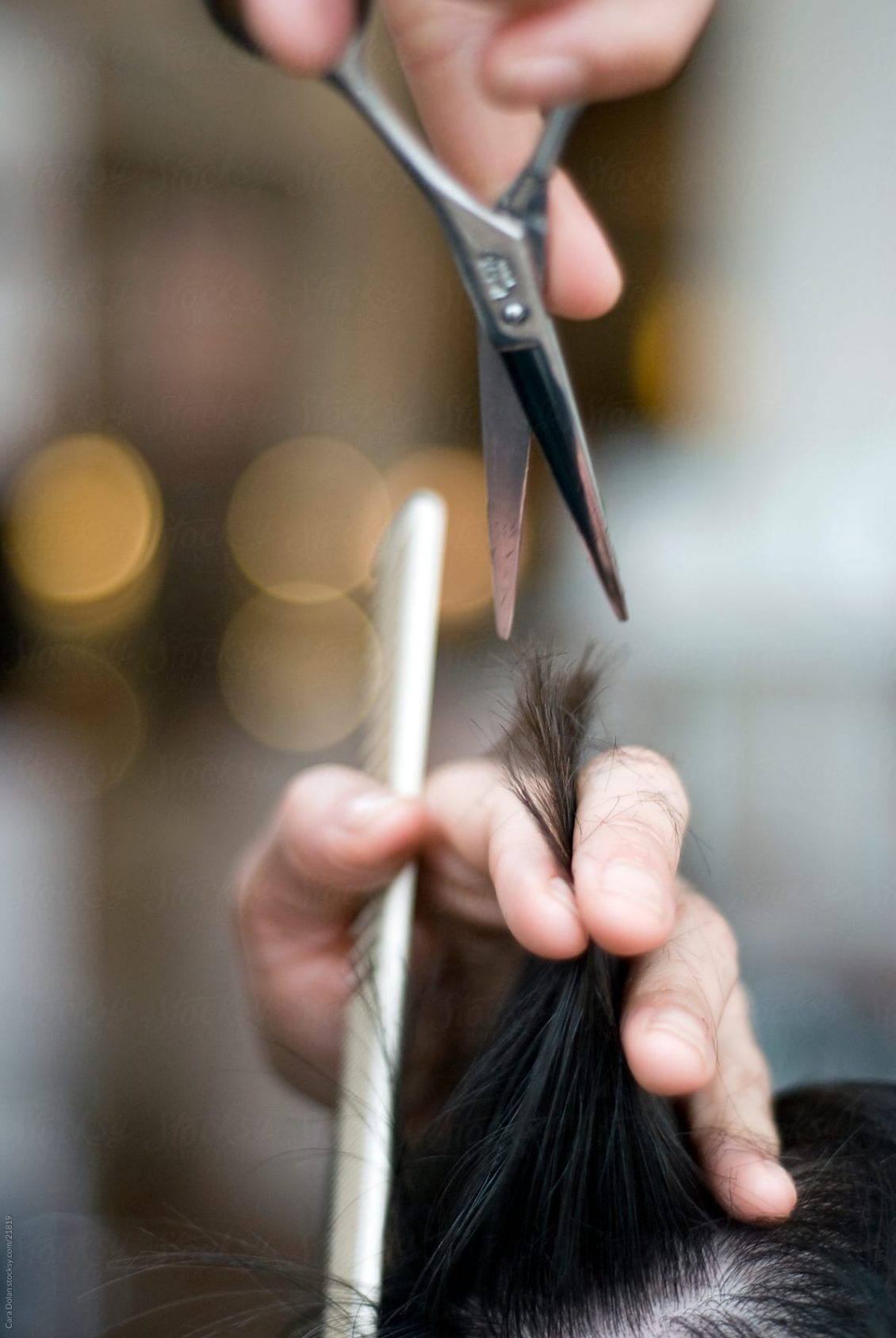 The Shop – Libby Dale